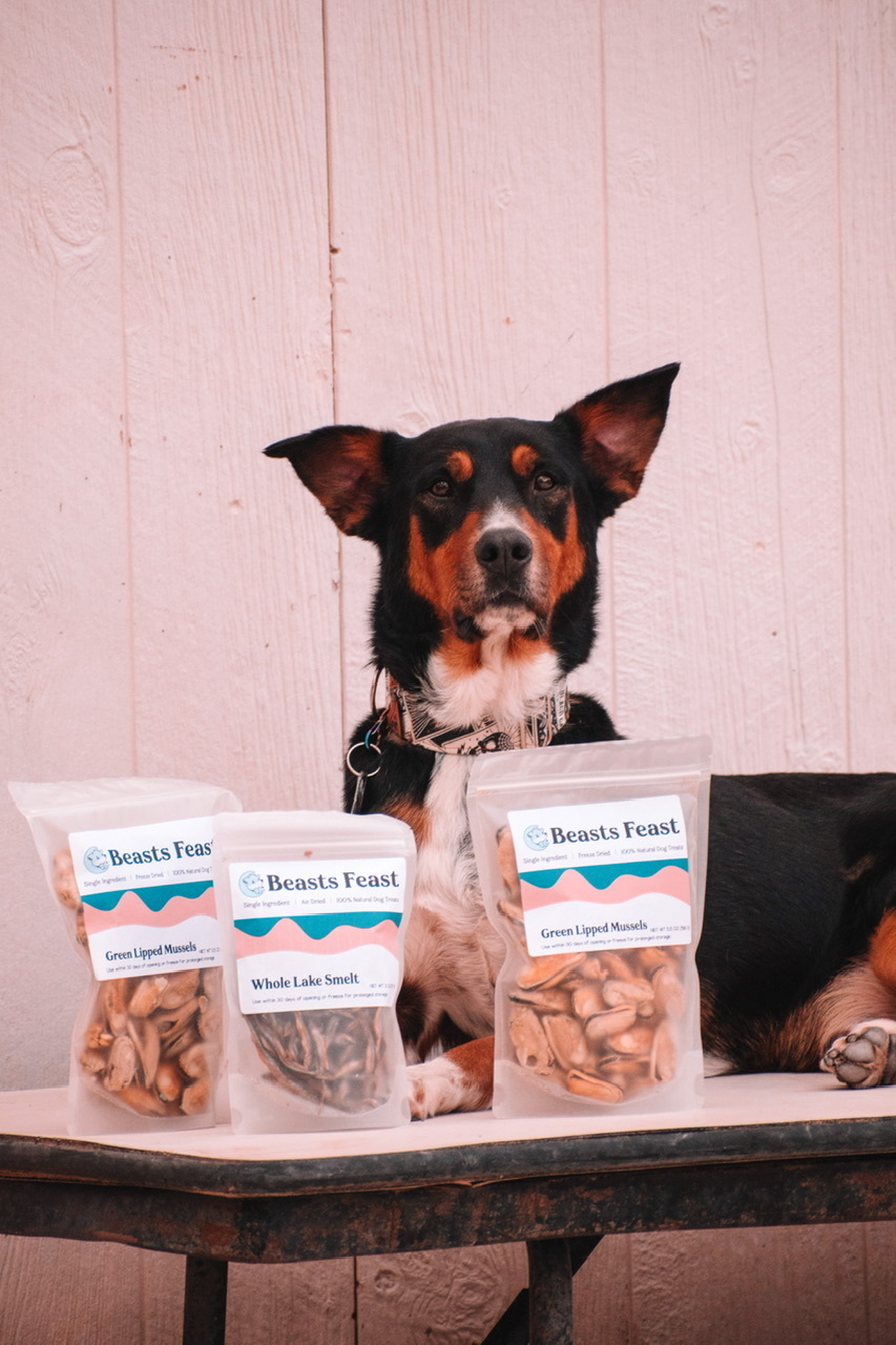 Freeze Dried Chicken Breast – Beasts Feast