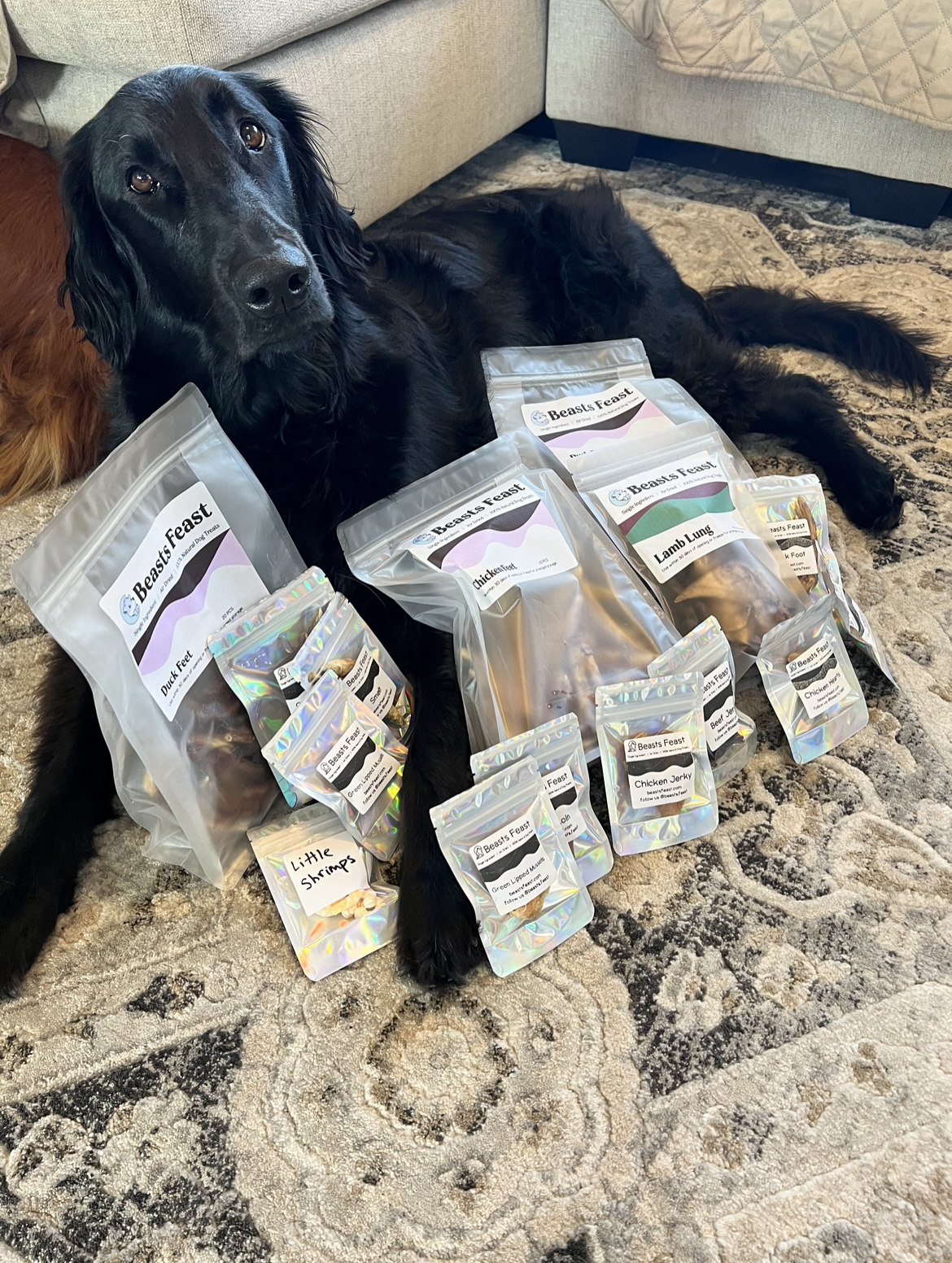 Freeze Dried Chicken Breast – Beasts Feast