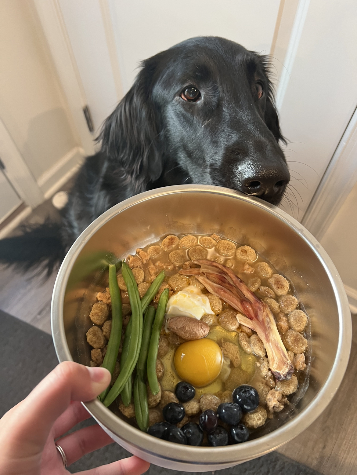 Freeze Dried Chicken Breast – Beasts Feast