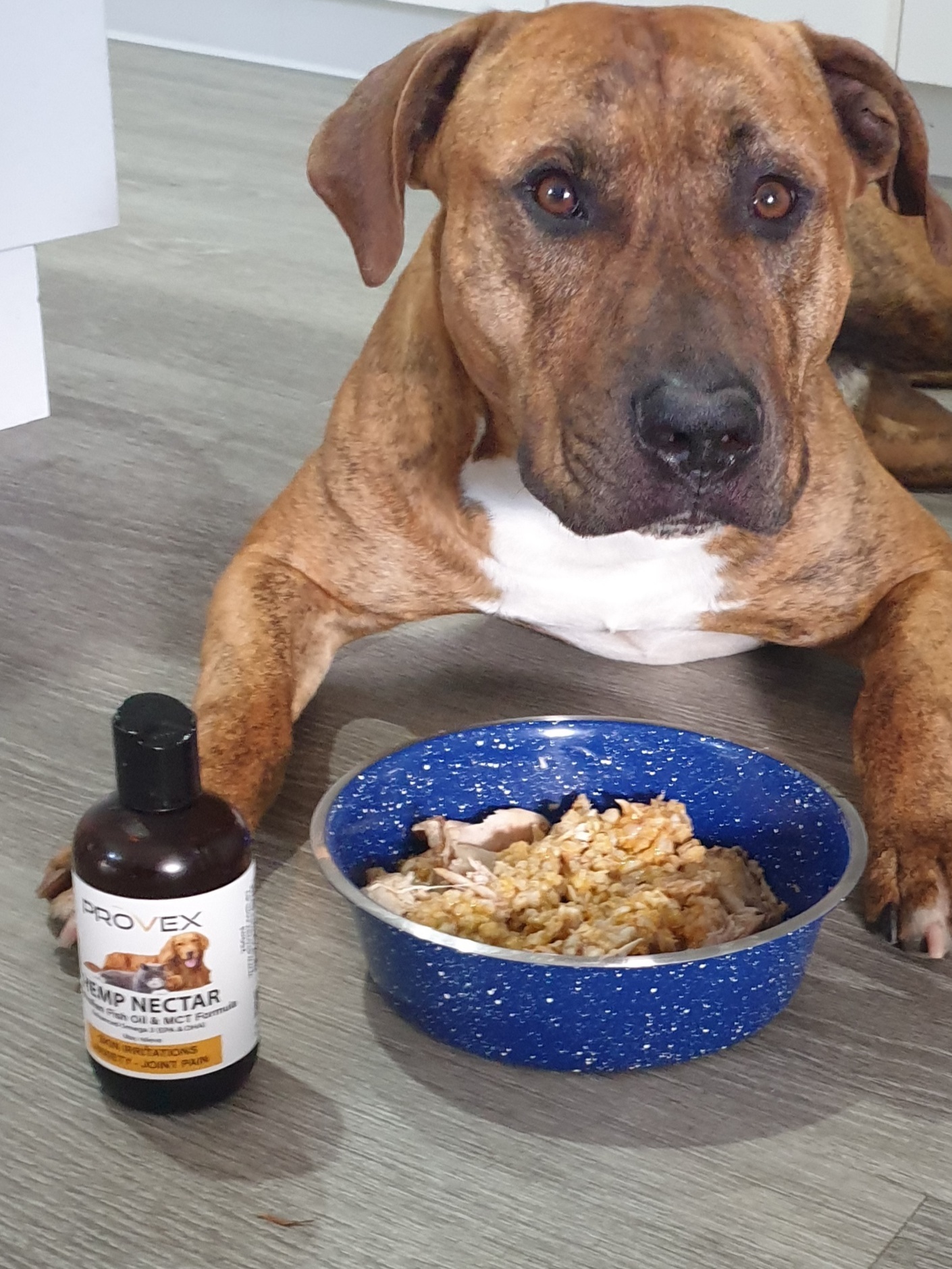 Provex Australia | Aussie Hemp