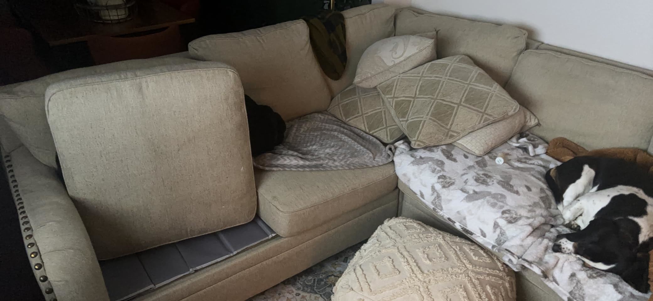 Sleeper Sofa Support – Meliusly
