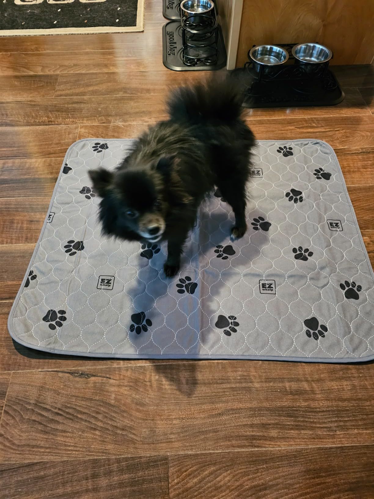 Fab System Whelping Box Stack - EZwhelp