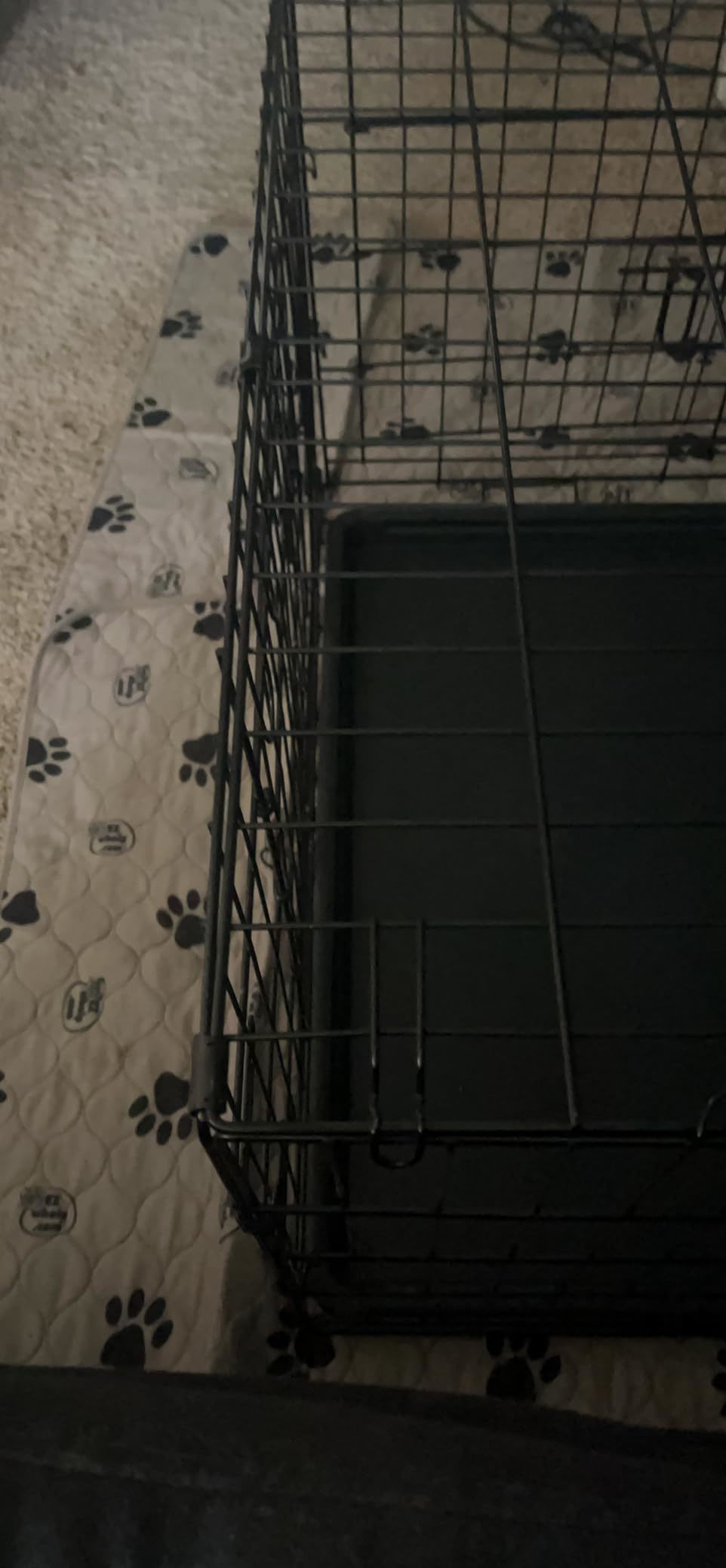 Fab System Whelping Box Stack - EZwhelp